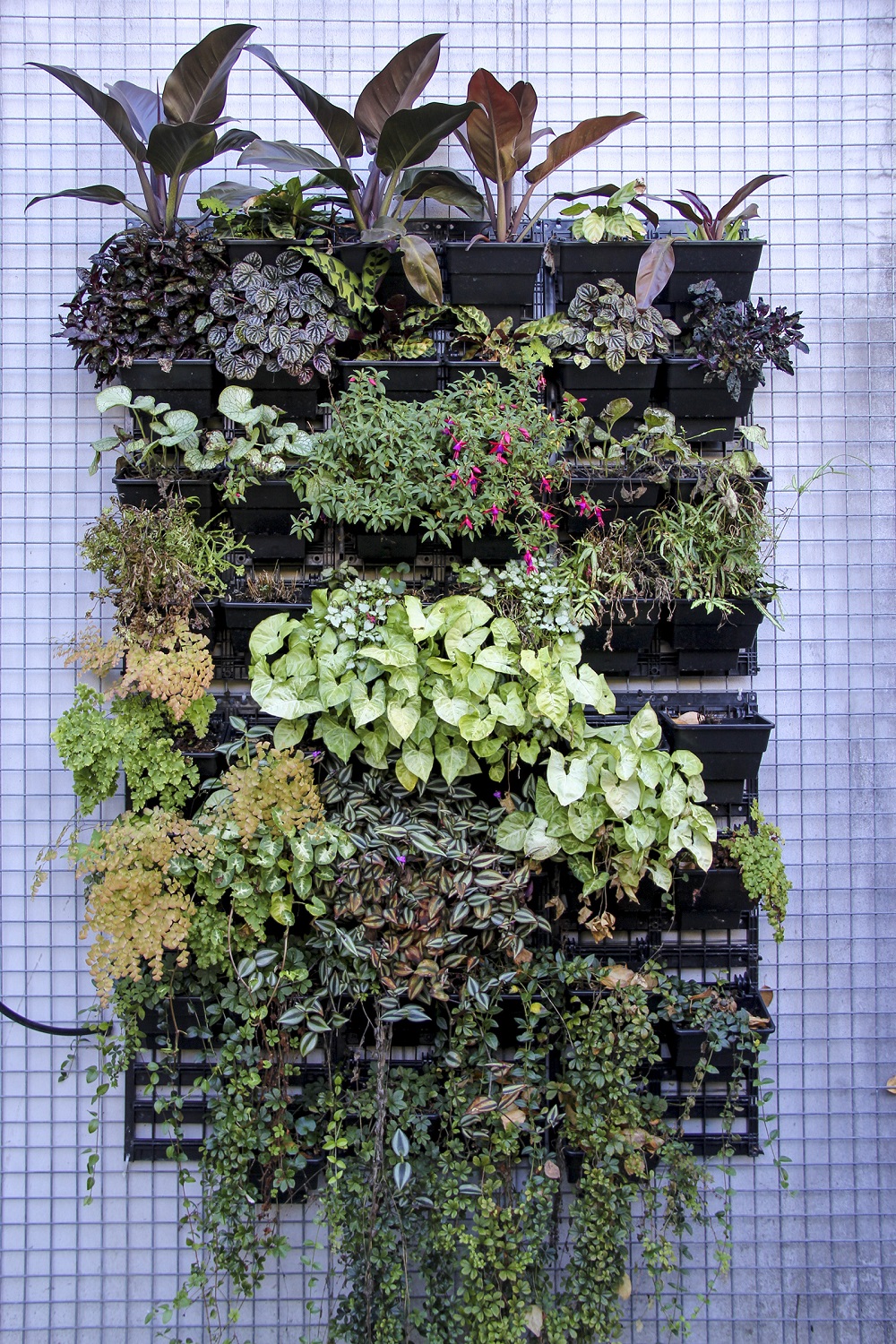Create A Vertical Garden
